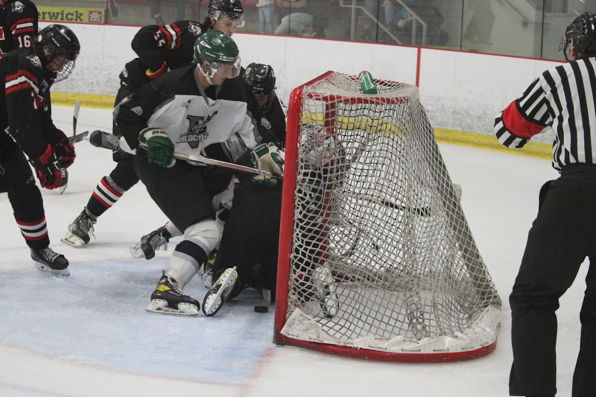 Wildcats, Bearcats split Maritime junior pre-season games | PNI Atlantic News