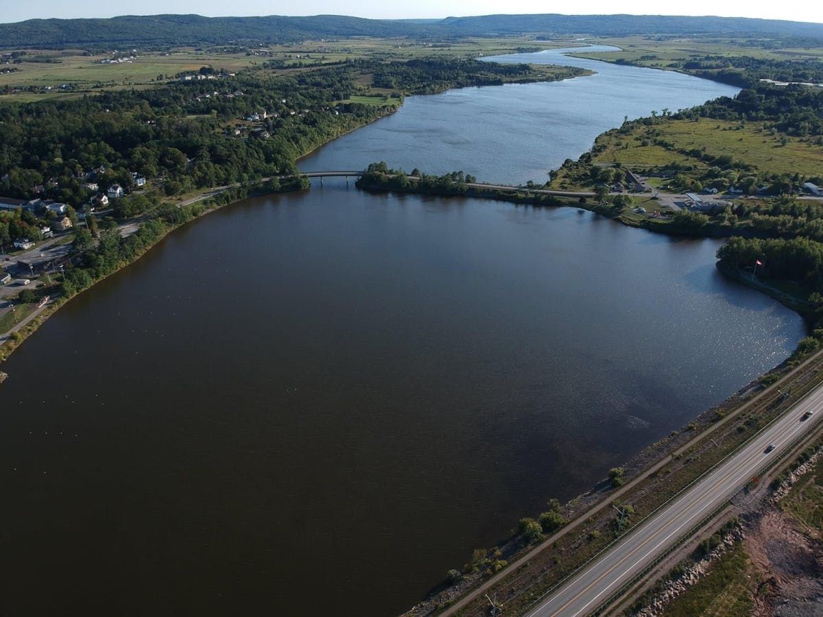 What the Petitcodiac River can teach us about Windsor’s controversial ...
