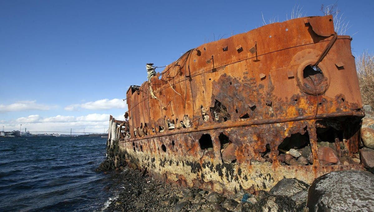 The SS Daisy: Halifax harbour history gone to rot | PNI Atlantic News