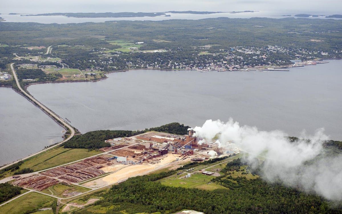Pictou County council sending letter to premier over pulp mill closure ...
