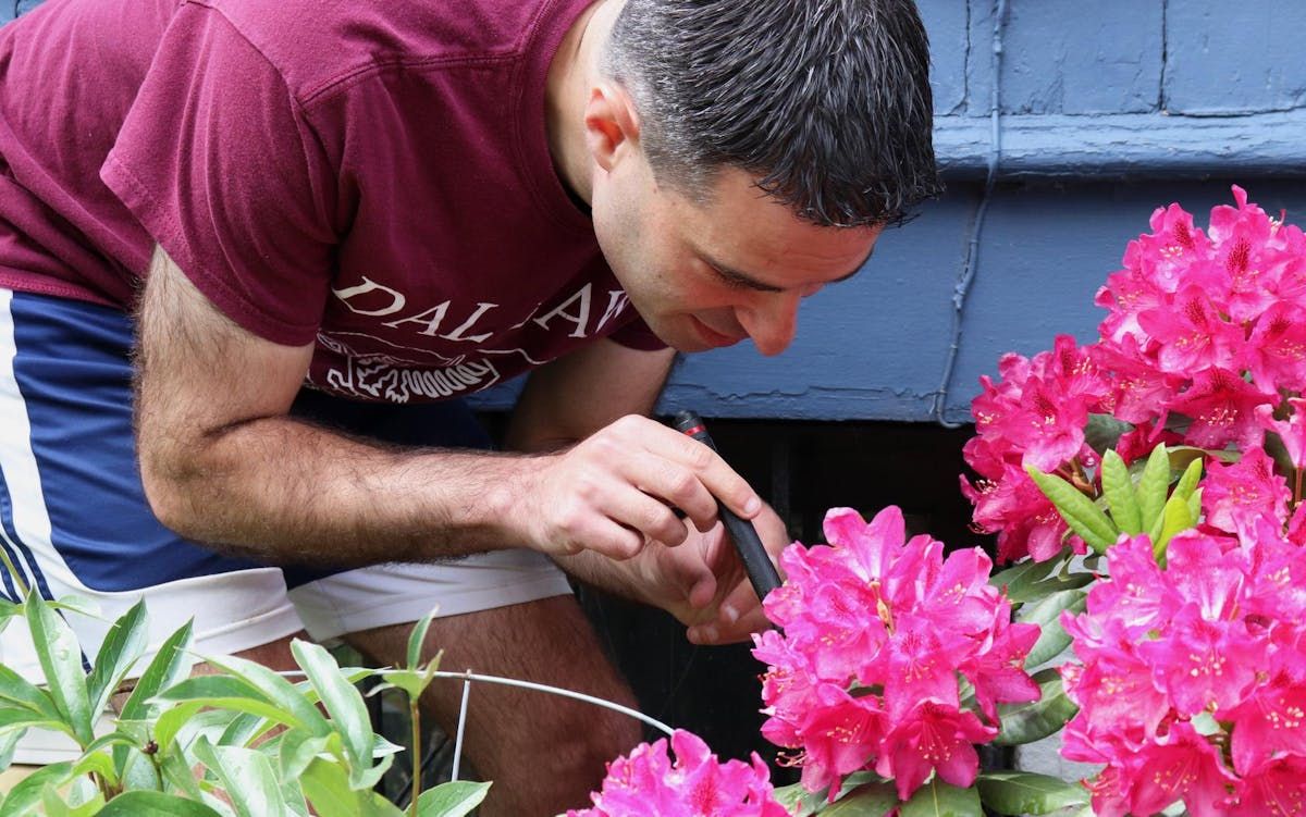 JOHN DeMONT: Meet the law prof by day, weevil eradicator by night ...
