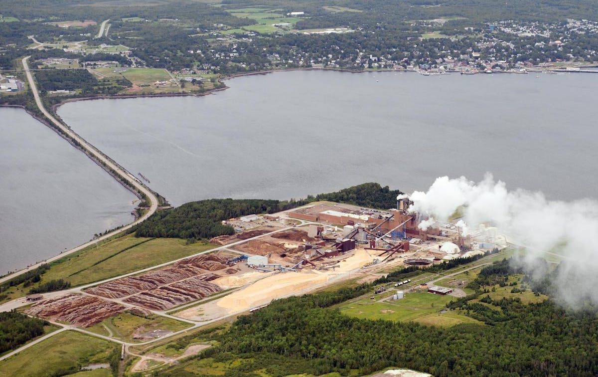 BACKGROUND: Expected Northern Pulp, Boat Harbour decisions come after ...