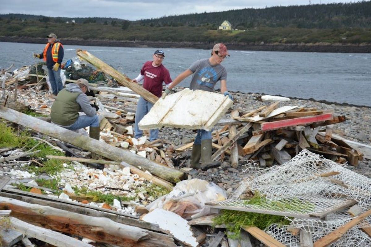 East Ferry harbour authority recognized for massive beach sweep Gallery ...