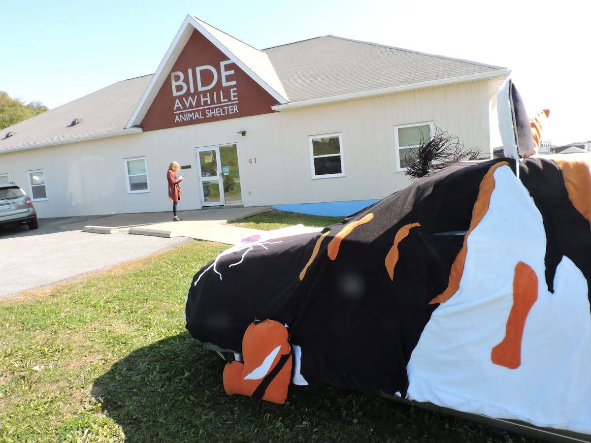 Bide Awhile Animal Shelter marks 50 years of finding homes for furry ...