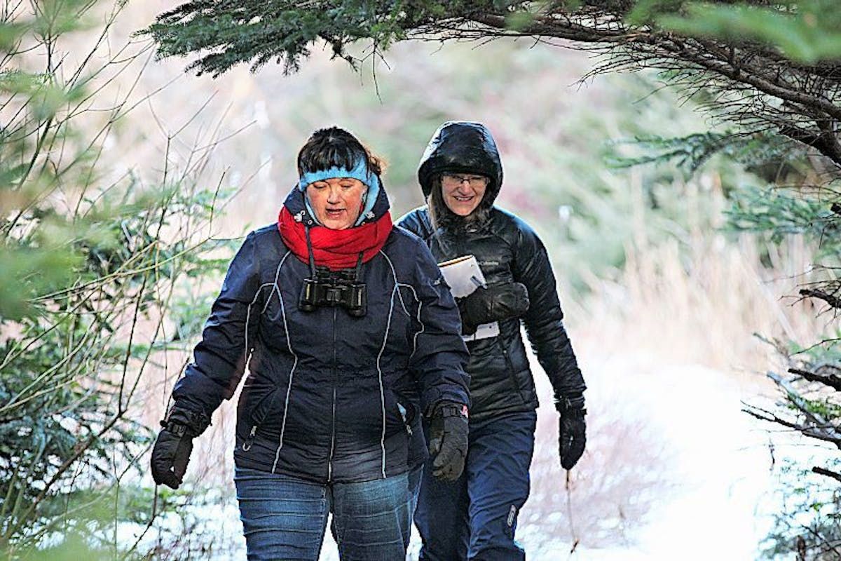 Undaunted by weather, several people carry out Christmas bird count ...