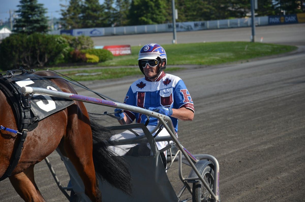 Blue Knight shines on Charlottetown harness racing card | PNI Atlantic News
