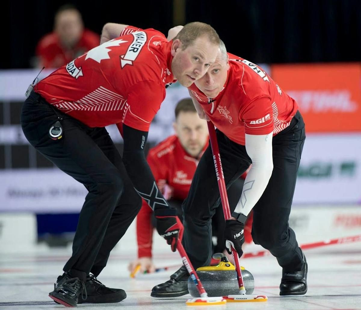 Brad Gushue is on a roll at the 2023 Tim Horton's Brier | PNI Atlantic News