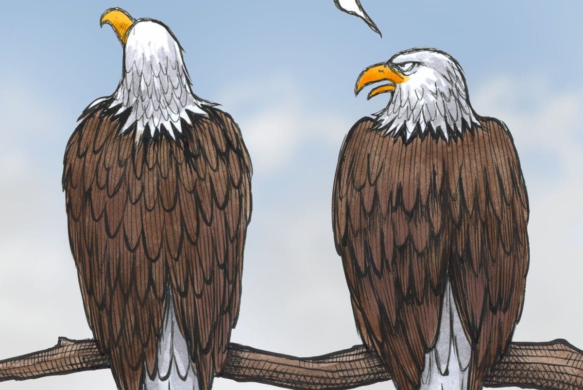 BRUCE MacKINNON CARTOON: Identified flying objects | PNI Atlantic News