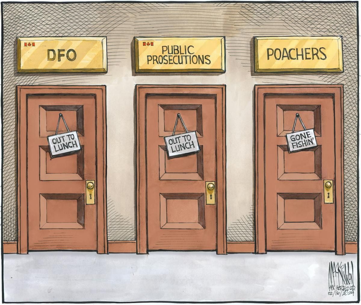 Poached elvers still getting exported despite DFO busts and closed ...