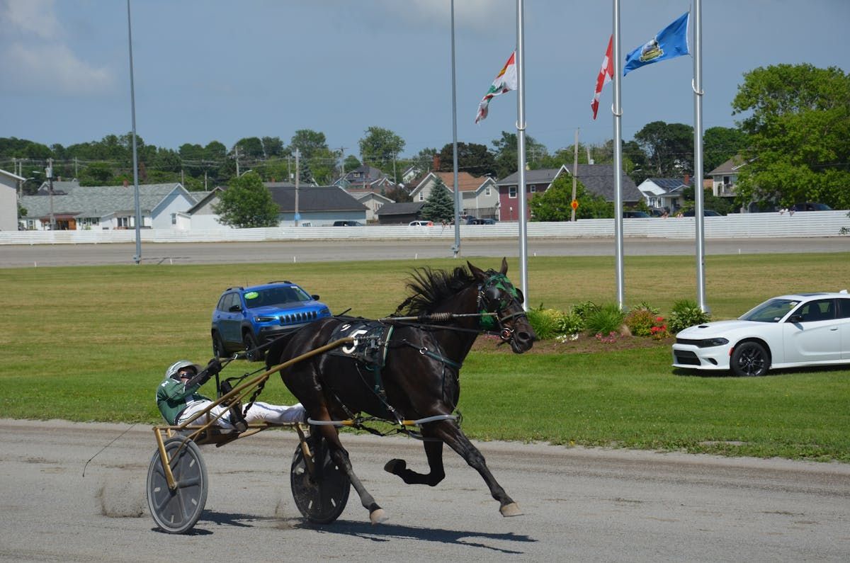 Campbell-driven Roll Em sets new track record in Summerside | PNI ...