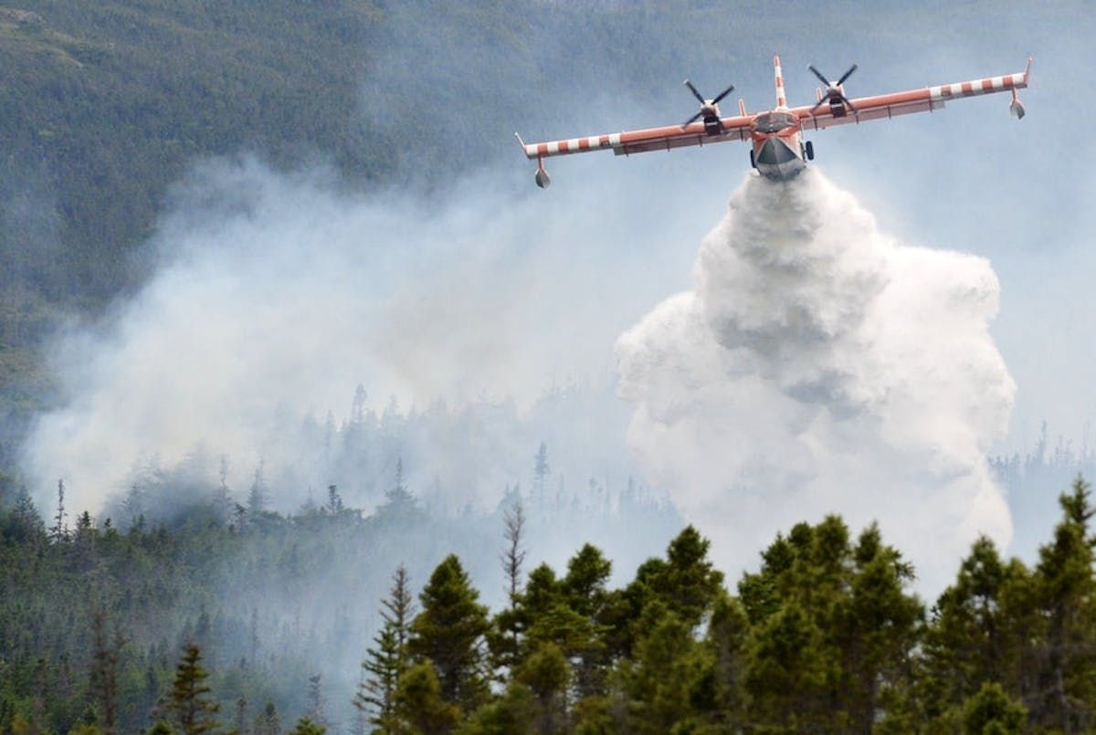 Can Newfoundland and Labrador expect more intense wildfires? | PNI ...