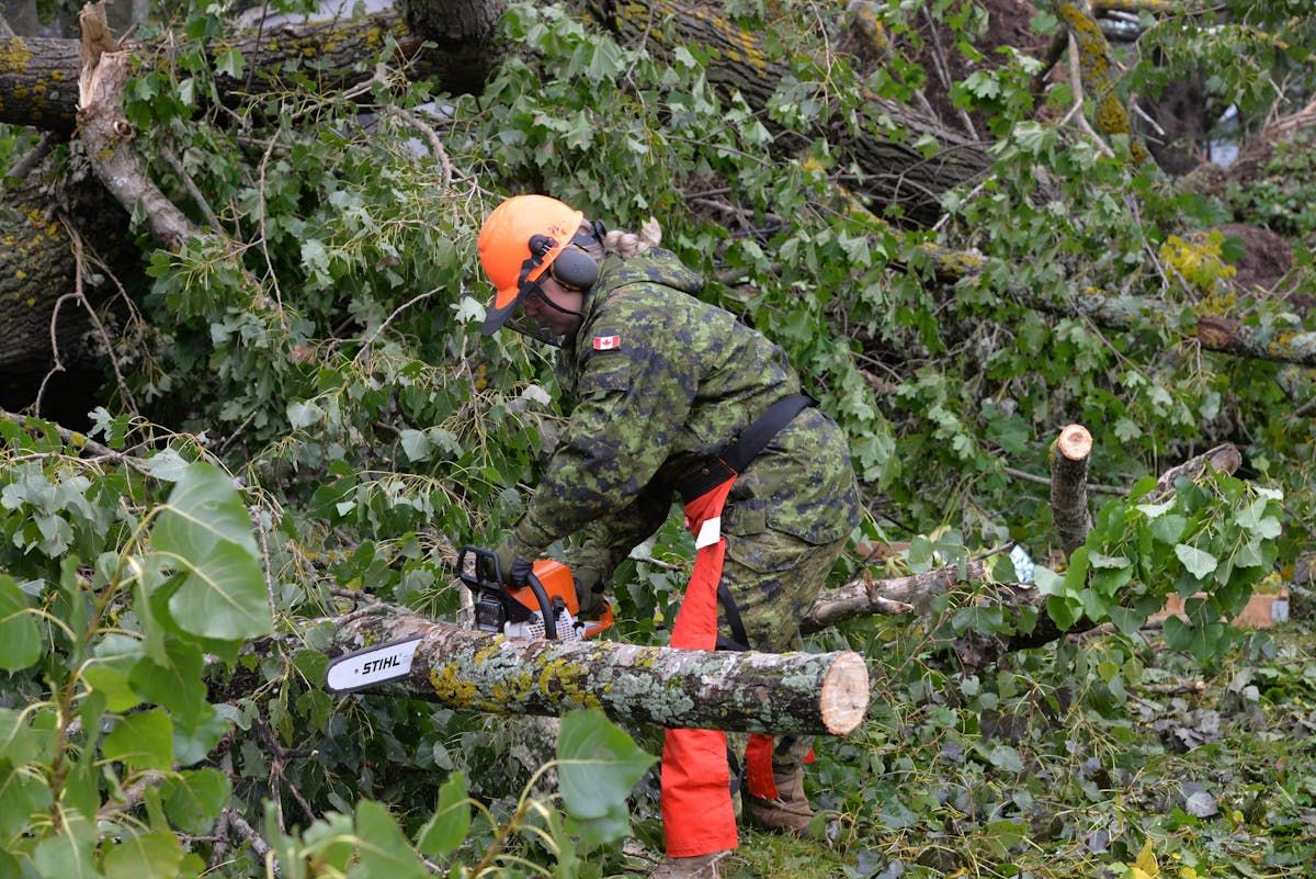 Canadian Armed Forces task force begins cleanup operation in P.E.I ...