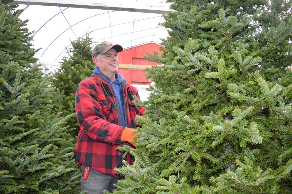 'They might be running out a little bit early': Cape Breton Christmas ...