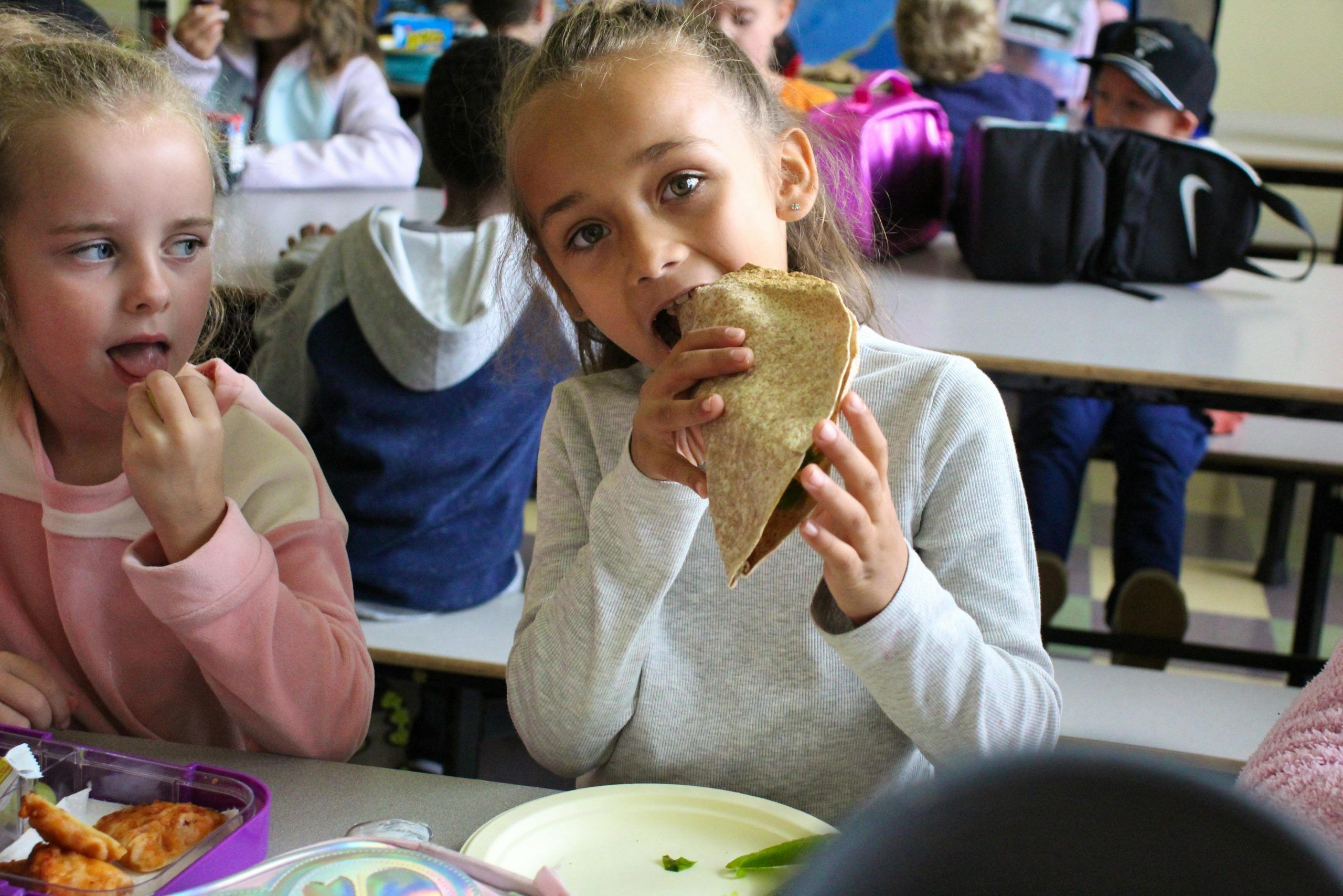 Cape Breton students review first meal provided by Nova Scotia's ...