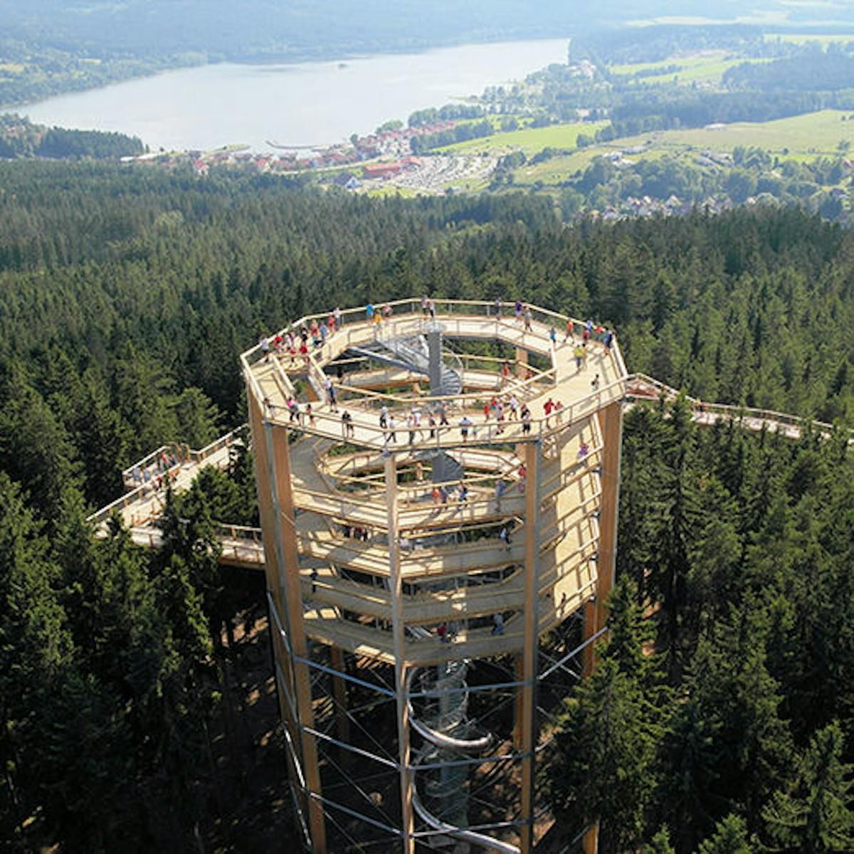 Cape Breton's Ski Cape Smokey tree walk on schedule | PNI Atlantic News