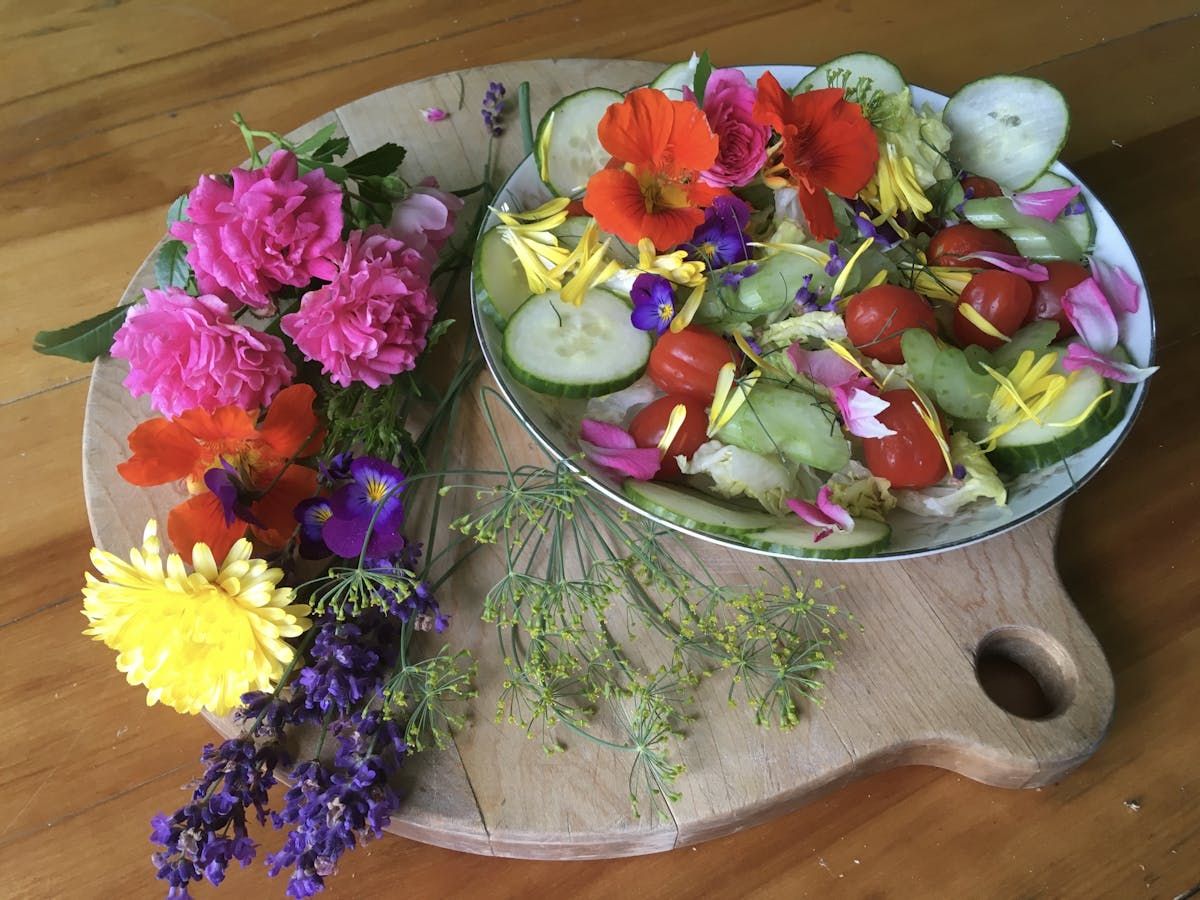 CAROLINE CAMERON: Dining on flowers | PNI Atlantic News