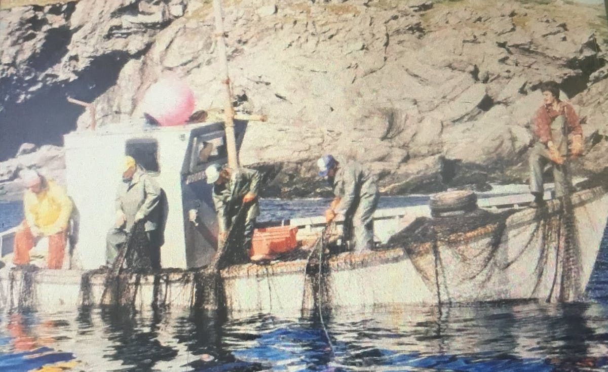 Cautious approach to commercial Northern cod fishery welcomed by former ...