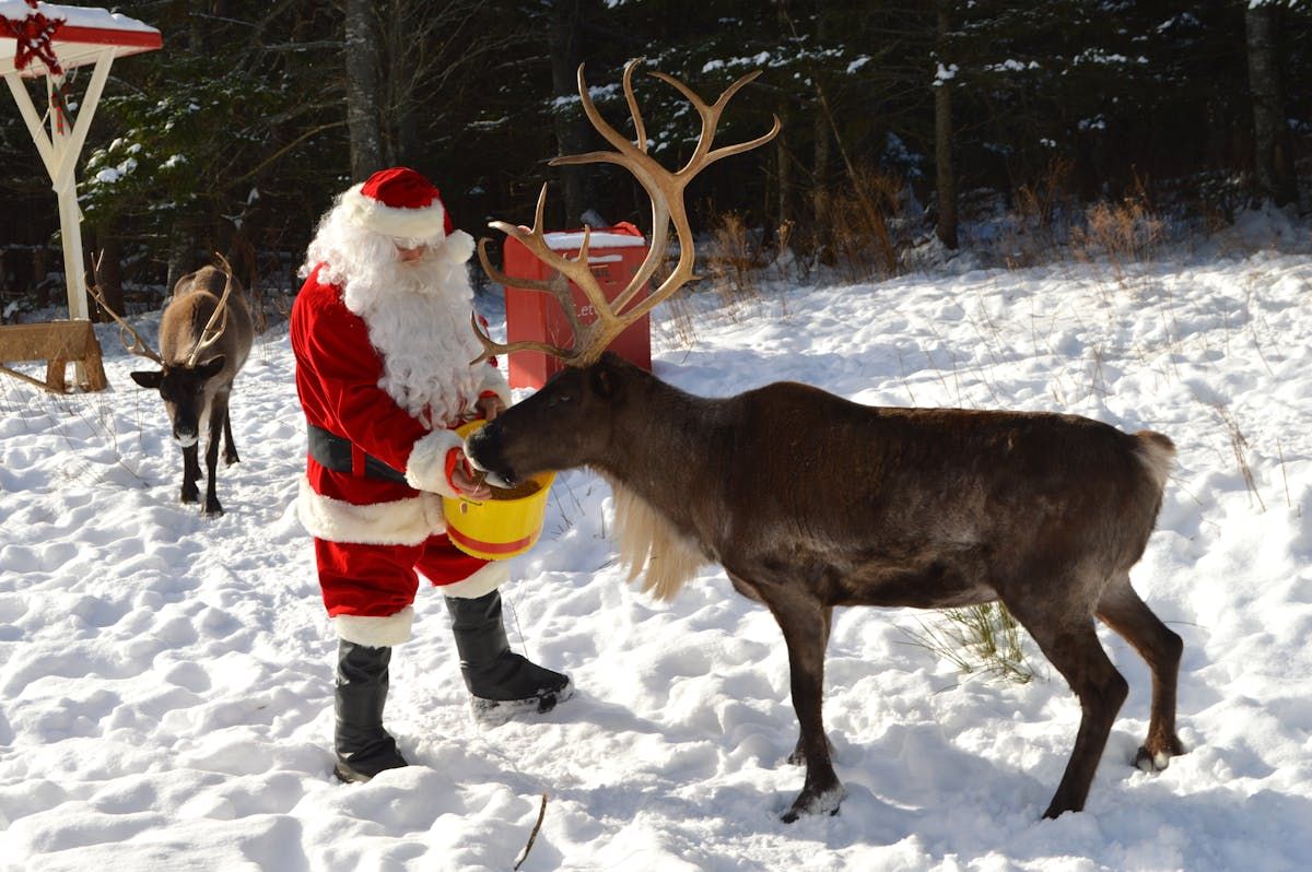 Winter Light-Up trail returns to Two Rivers Wildlife Park in Huntington ...