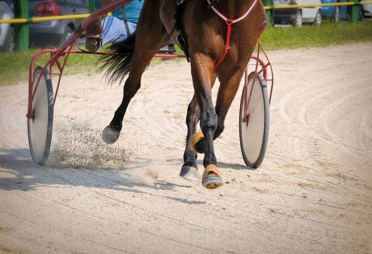 Memorial races highlight six-card day at Inverness Raceway Sunday | PNI ...