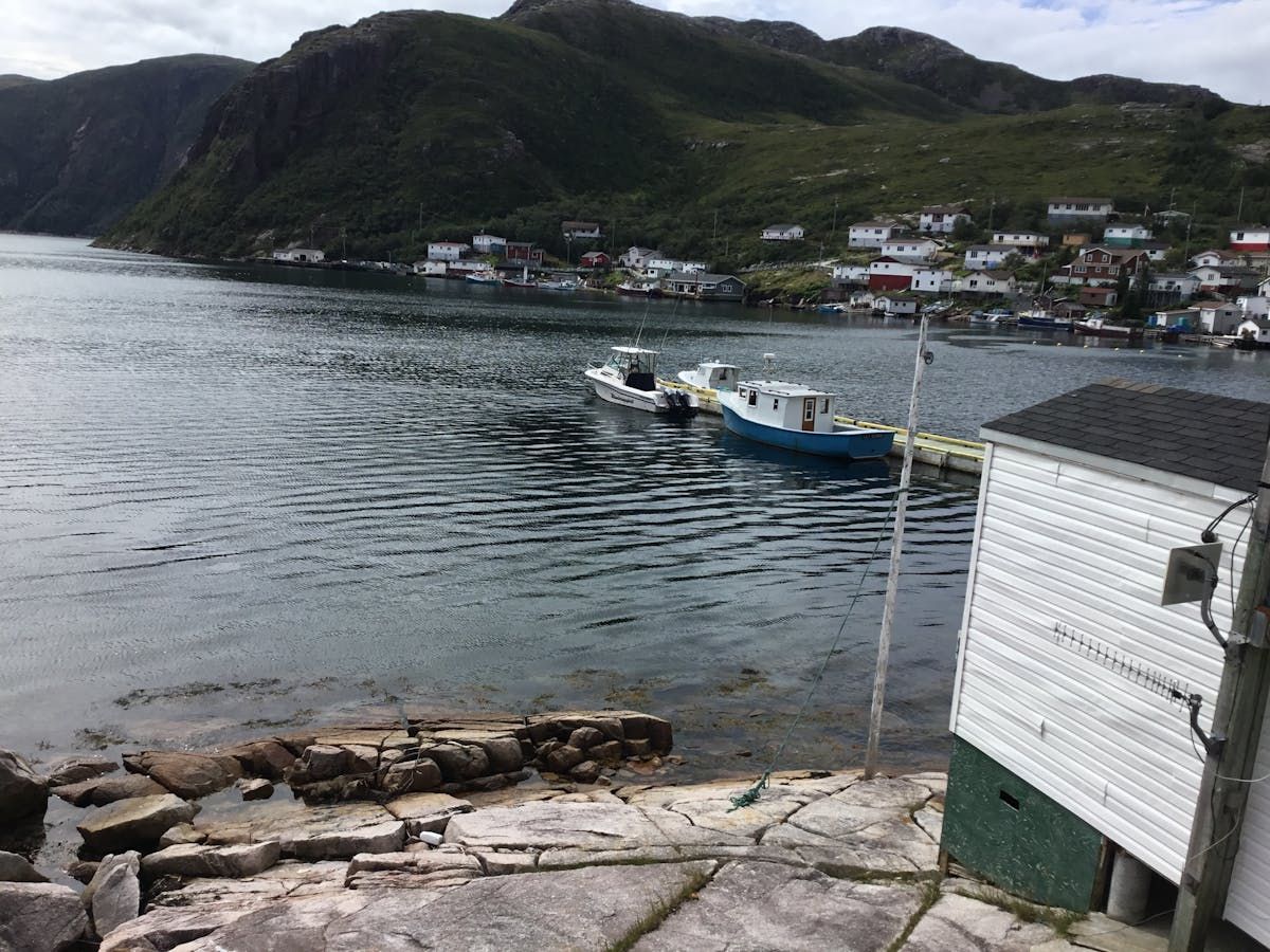 Census 2021 indicates that rural Newfoundland and Labrador is becoming ...