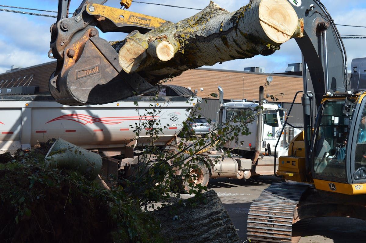 MARGARET PROUSE: Reflections following Fiona | PNI Atlantic News