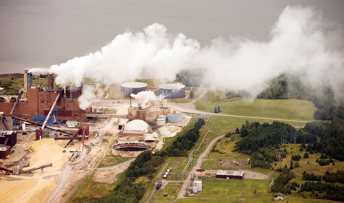 Final decision on Northern Pulp waste treatment plant imminent | PNI ...