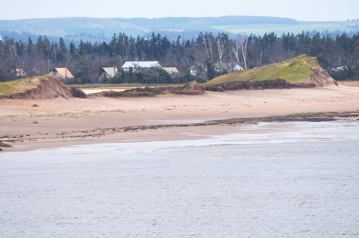 Parts of P.E.I. National Park reopening following repairs | PNI ...