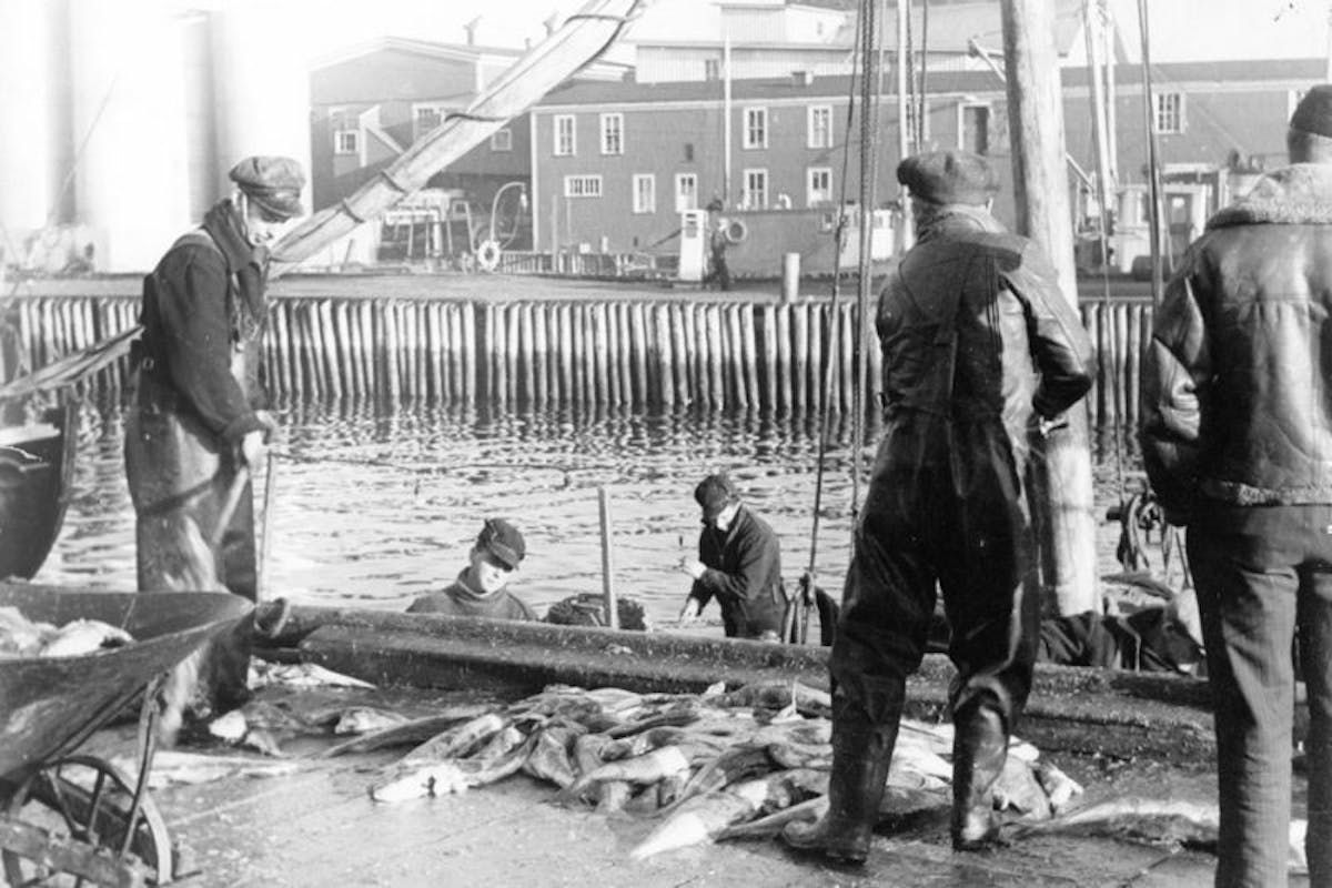 North Sydney was once fourth largest seaport in Canada Gallery | PNI ...