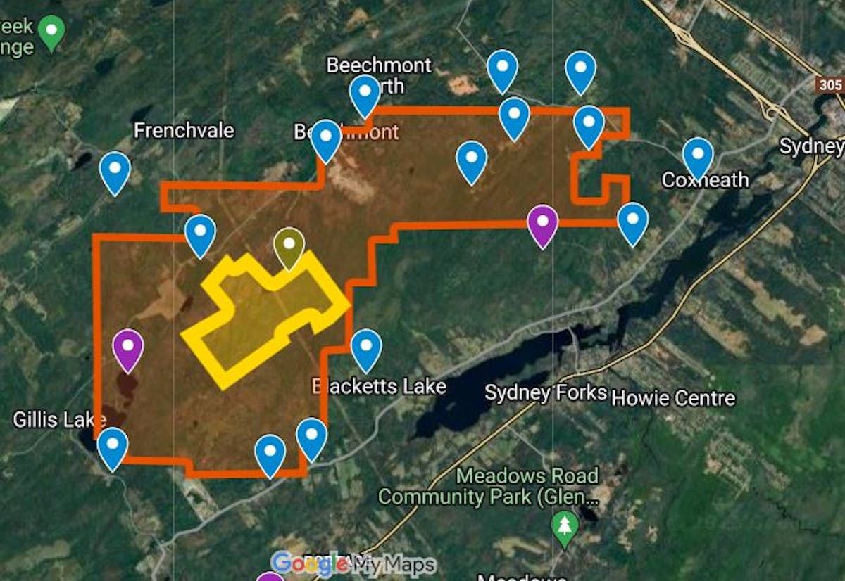 LETTER: Copper mine proposal in Cape Breton could damage nature | PNI ...