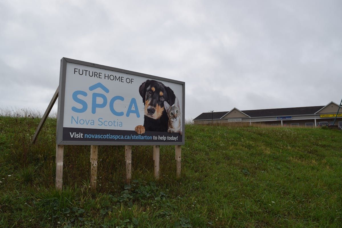 Construction should start on new SPCA facility soon | PNI Atlantic News