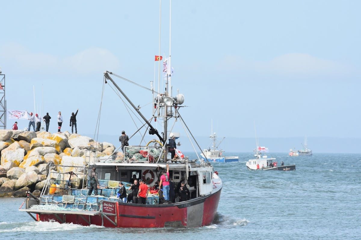 Commercial fishermen file suit against Canadian government, Sipekne'katik over moderate ...
