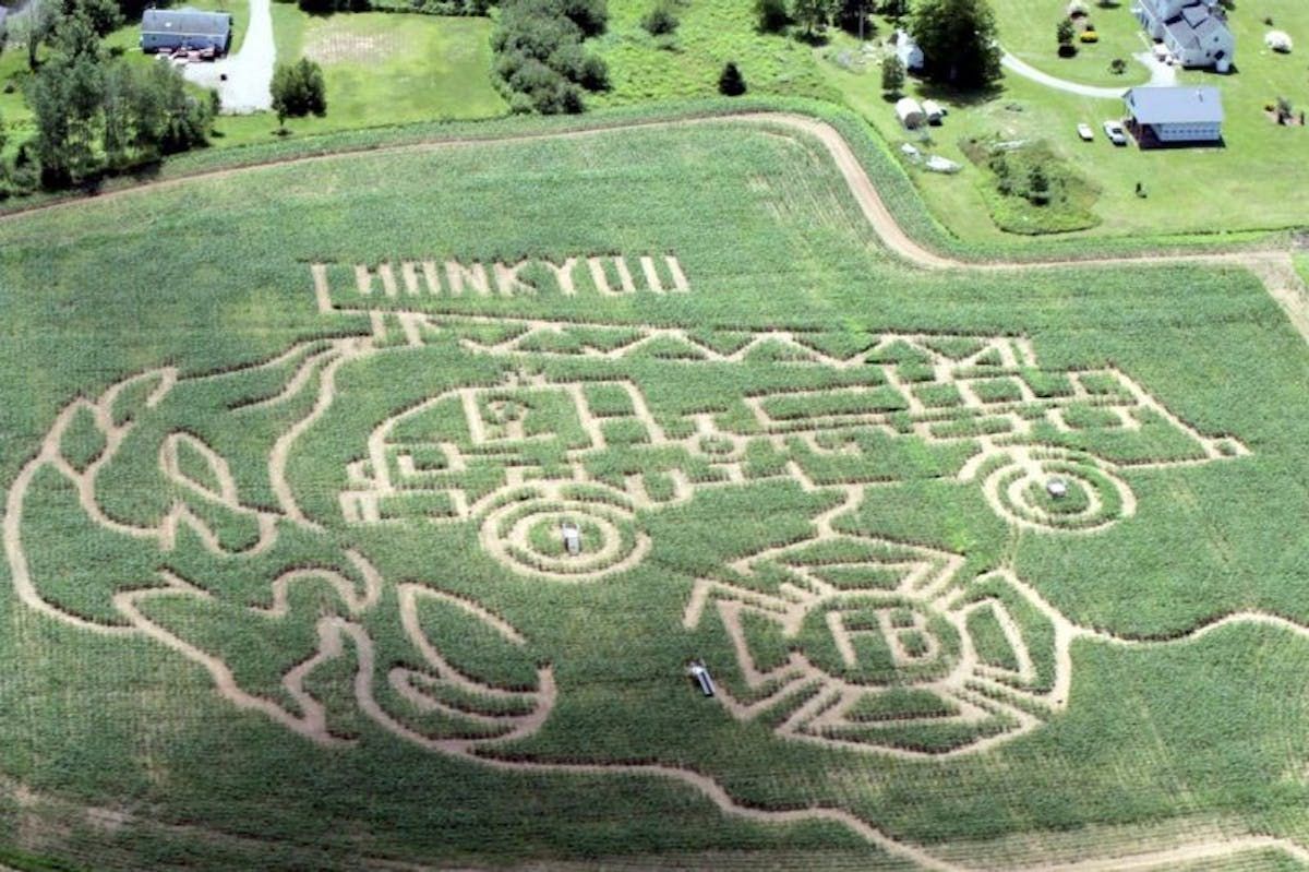 Maze with messages Gallery | PNI Atlantic News