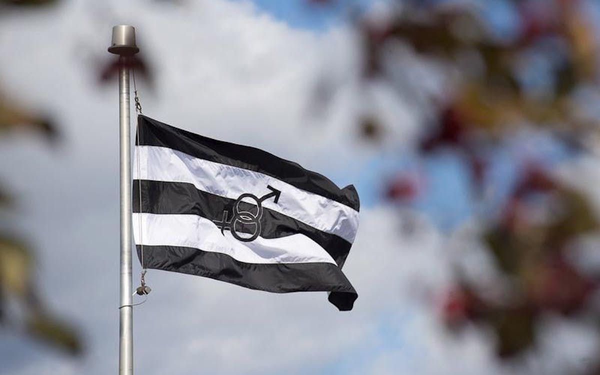 COMMENTARY: Straight Pride flag puts shameful persistence of homophobia ...