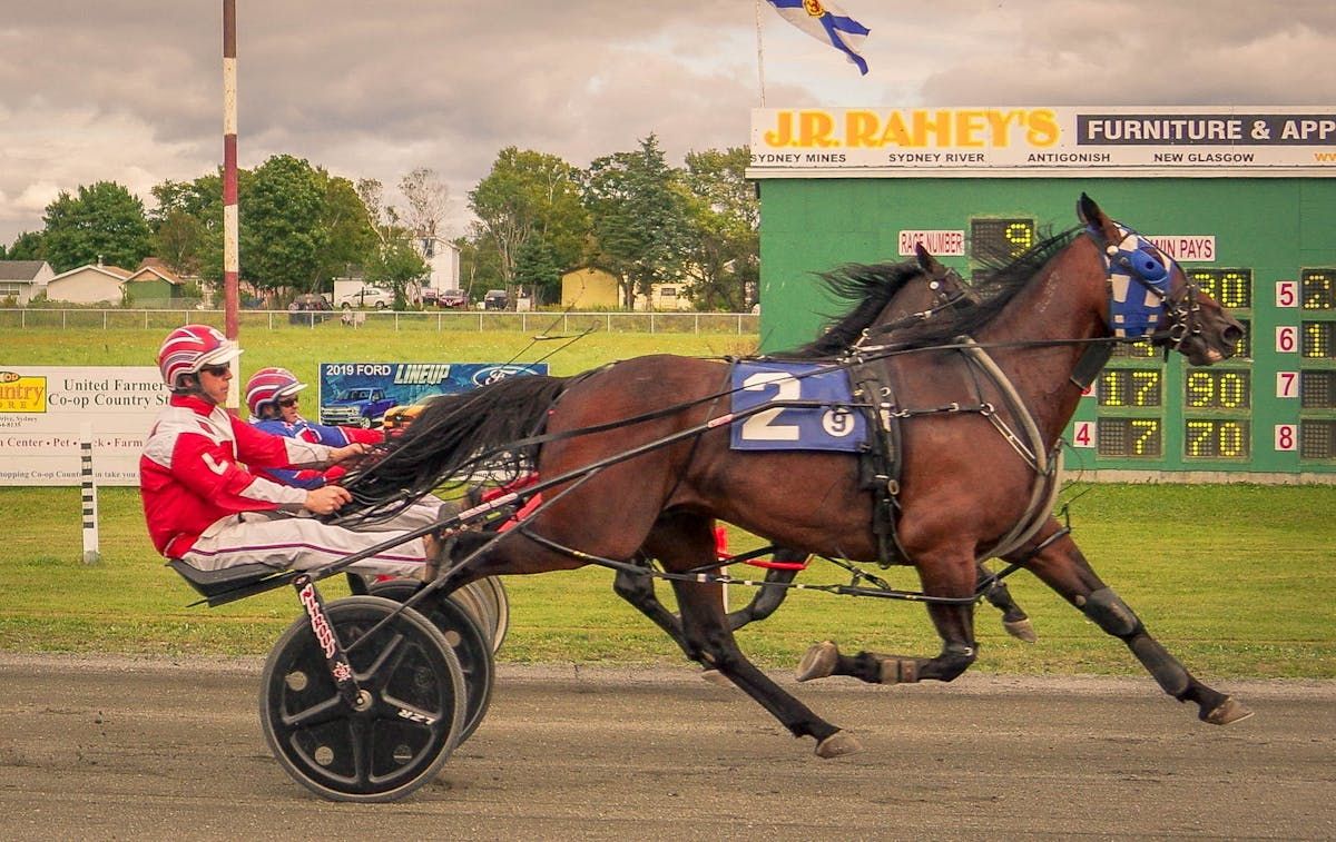 Dates set for 2022 harness racing season at Cape Breton's Northside ...