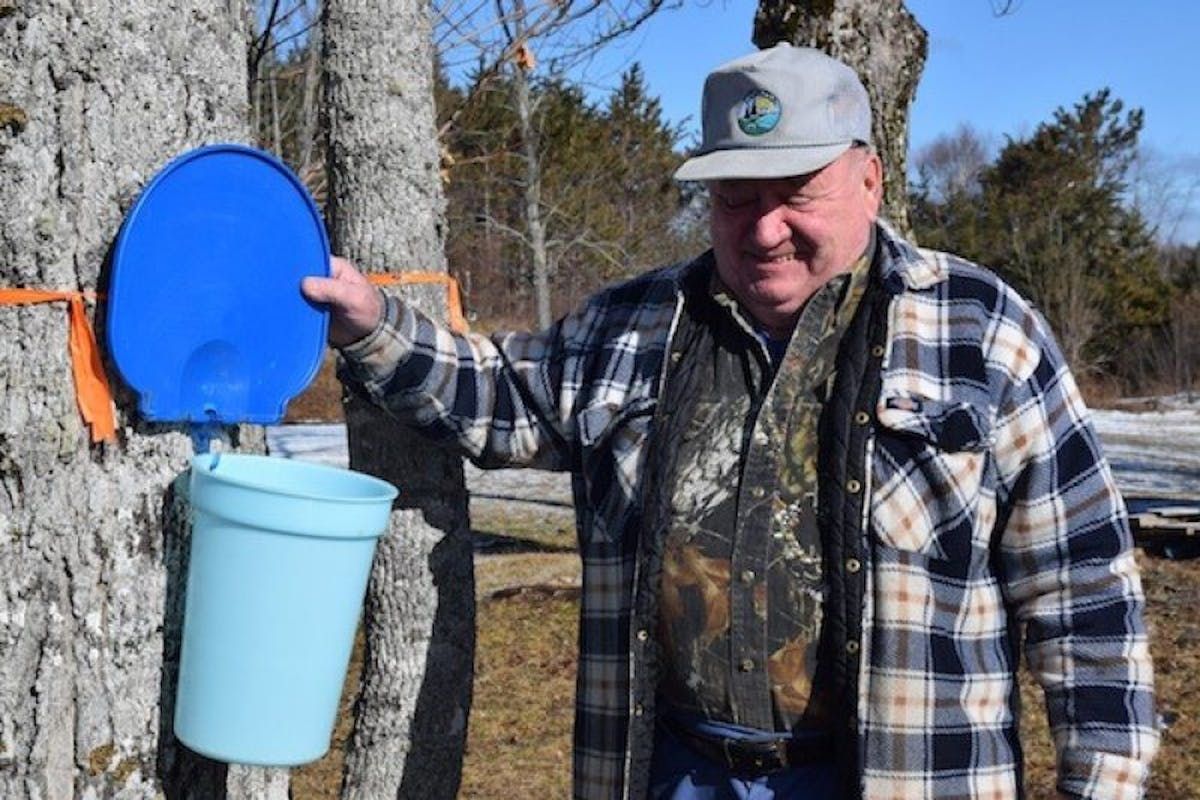 LORDA Park expects strong syrup season | PNI Atlantic News