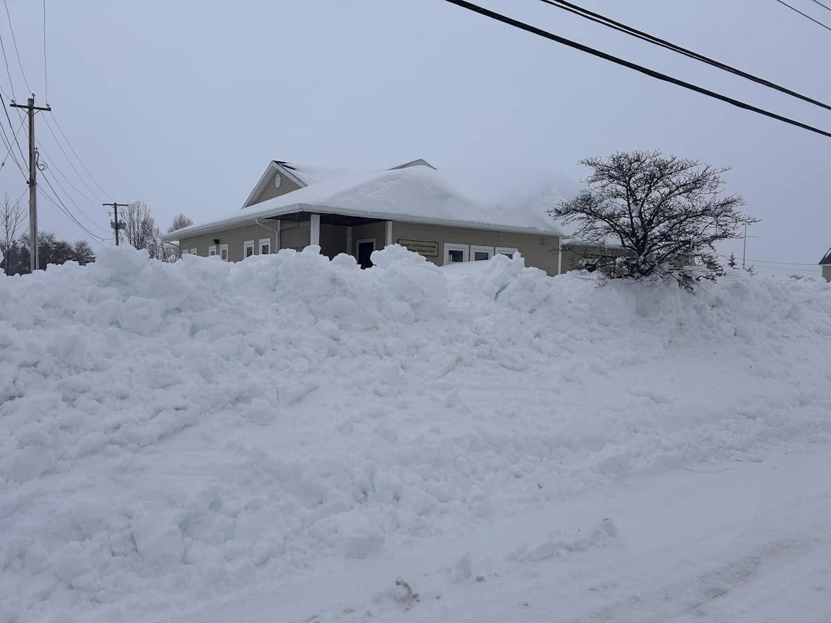 DAVID DELANEY: Ignore the politicians and help your neighbours in snow ...