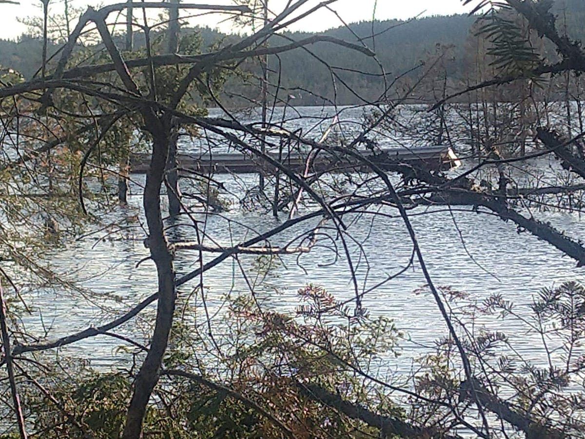 Deer Lake man calls for compensation for cabins being swallowed by ...