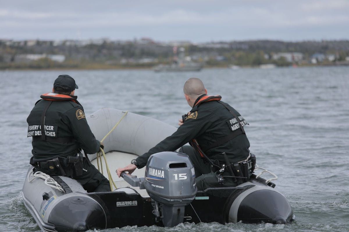 About 20 DFO jobs available in Newfoundland and Labrador | PNI Atlantic ...