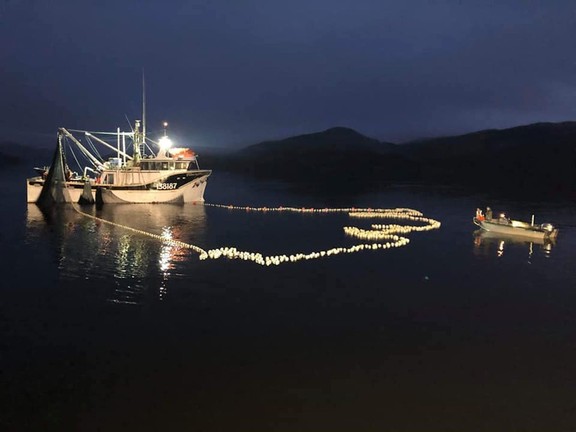 DFO minister shuts mackerel, spring herring fishery down for Atlantic ... DFO minister shuts mackerel, spring herring fishery down for Atlantic ...