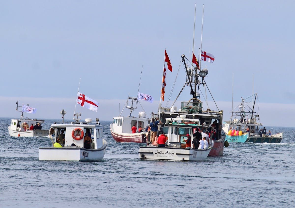 DFO, First Nations at odds over treaty fishery as lobster season about ...