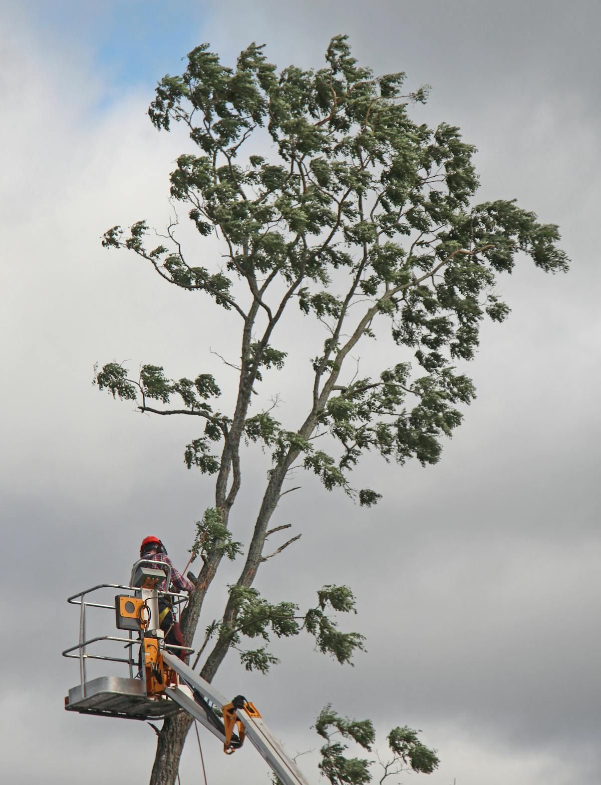PHOTOS: Hurricane Dorian sweeps across northeastern Nova Scotia Gallery ...