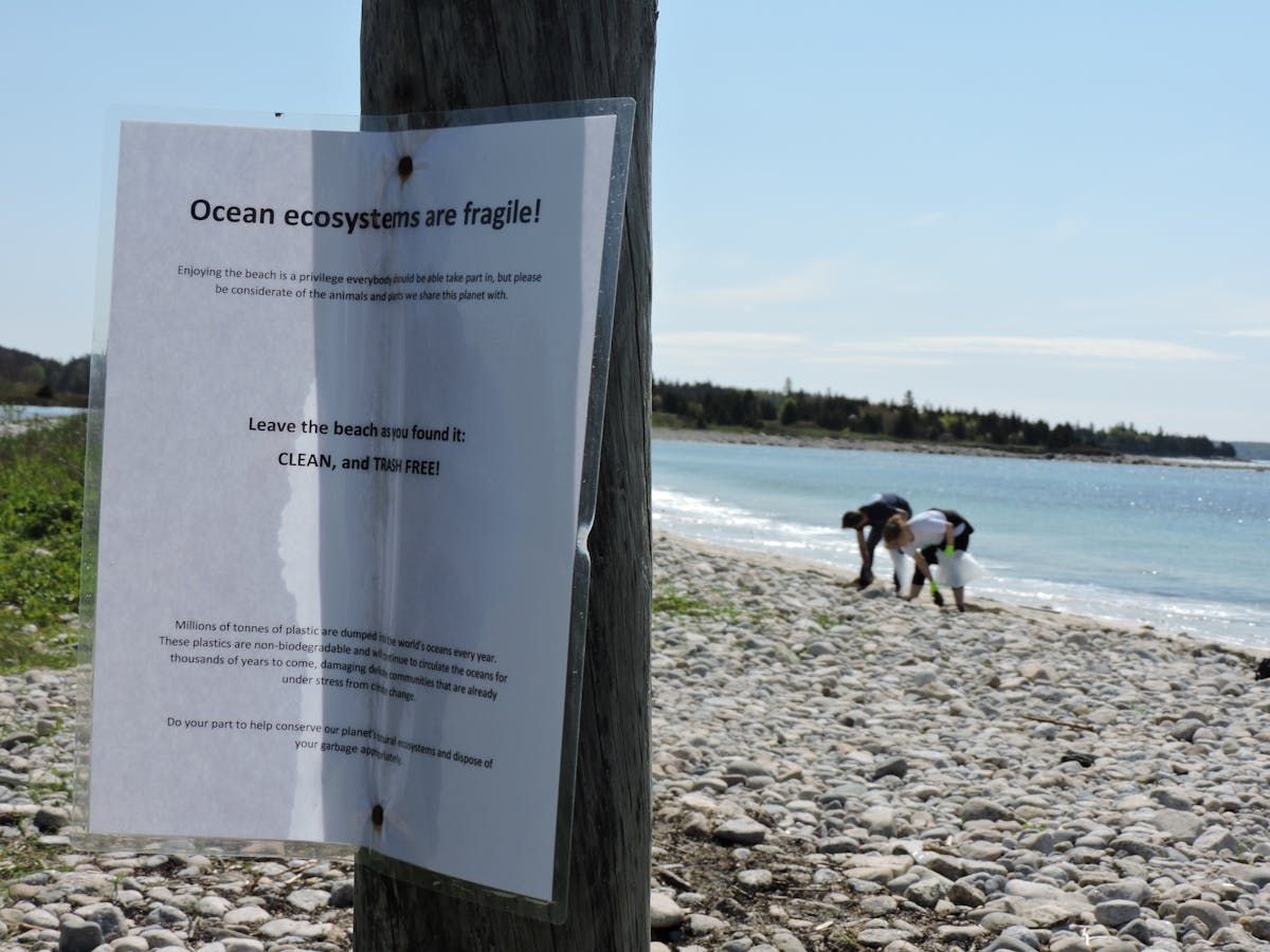 Cleveland Beach gets a clean sweep for World Oceans Day Gallery | PNI ...