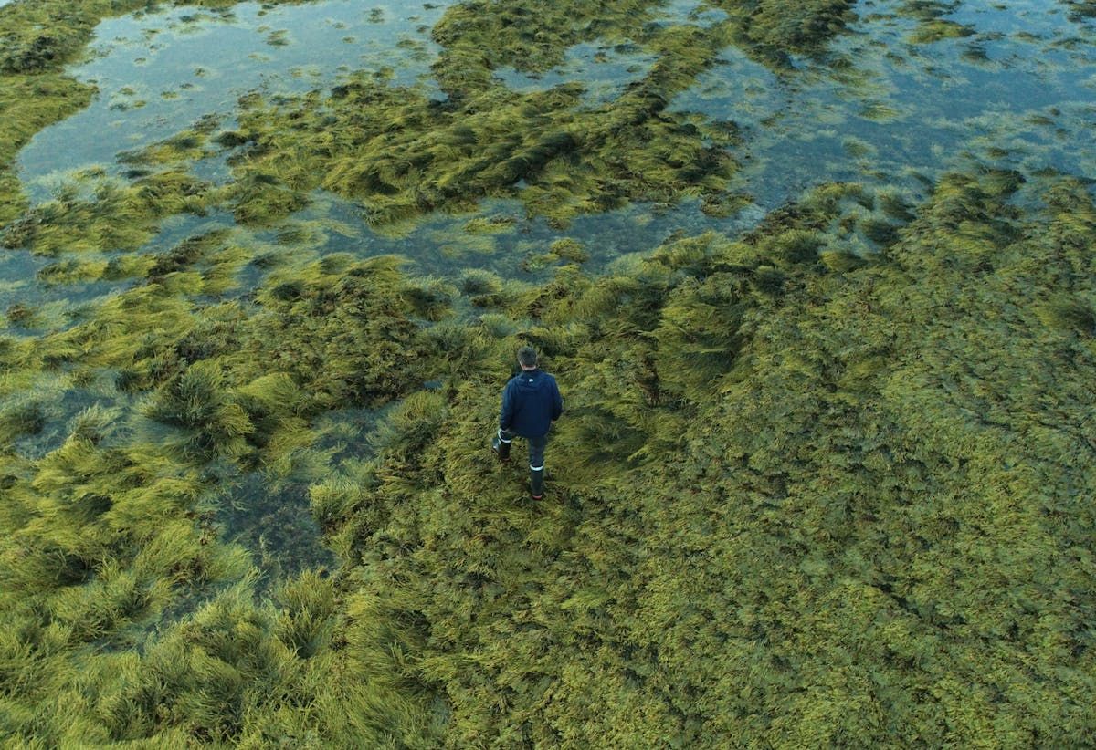 Eye in the sky: MUN researcher will use satellite imagery to gain ...