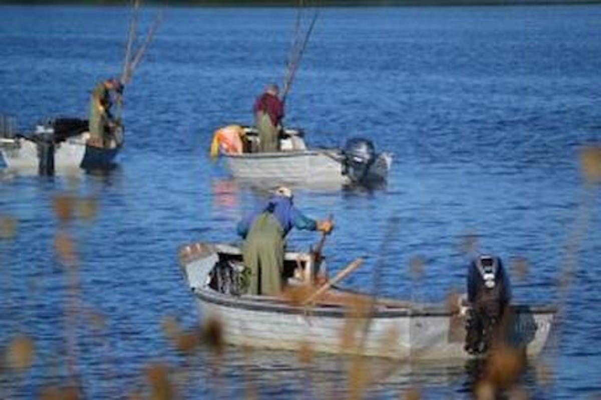 Shellfish assn. wants more protection | PNI Atlantic News
