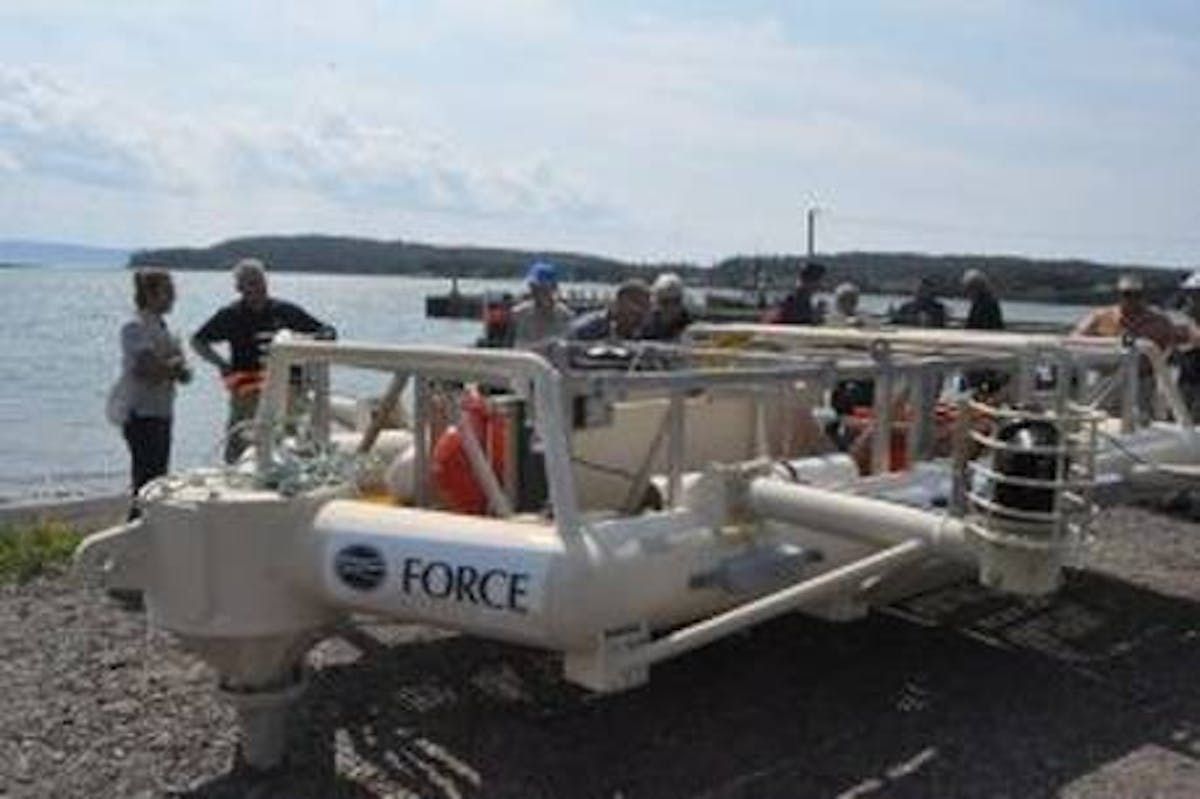 FAST platform draws a crowd at Parrsboro beach | PNI Atlantic News