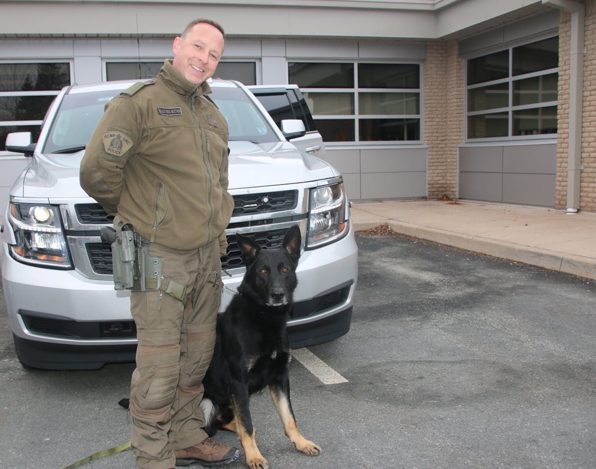 New RCMP K9 team on the job in northeastern Nova Scotia: Video | PNI ...
