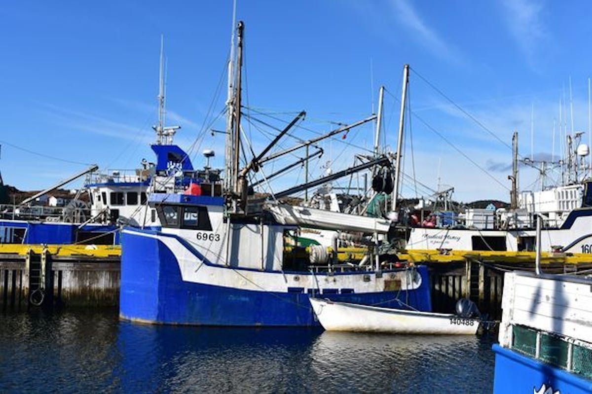 Fishing boat owners in N.L. deliver 'loud and clear' message to DFO ...