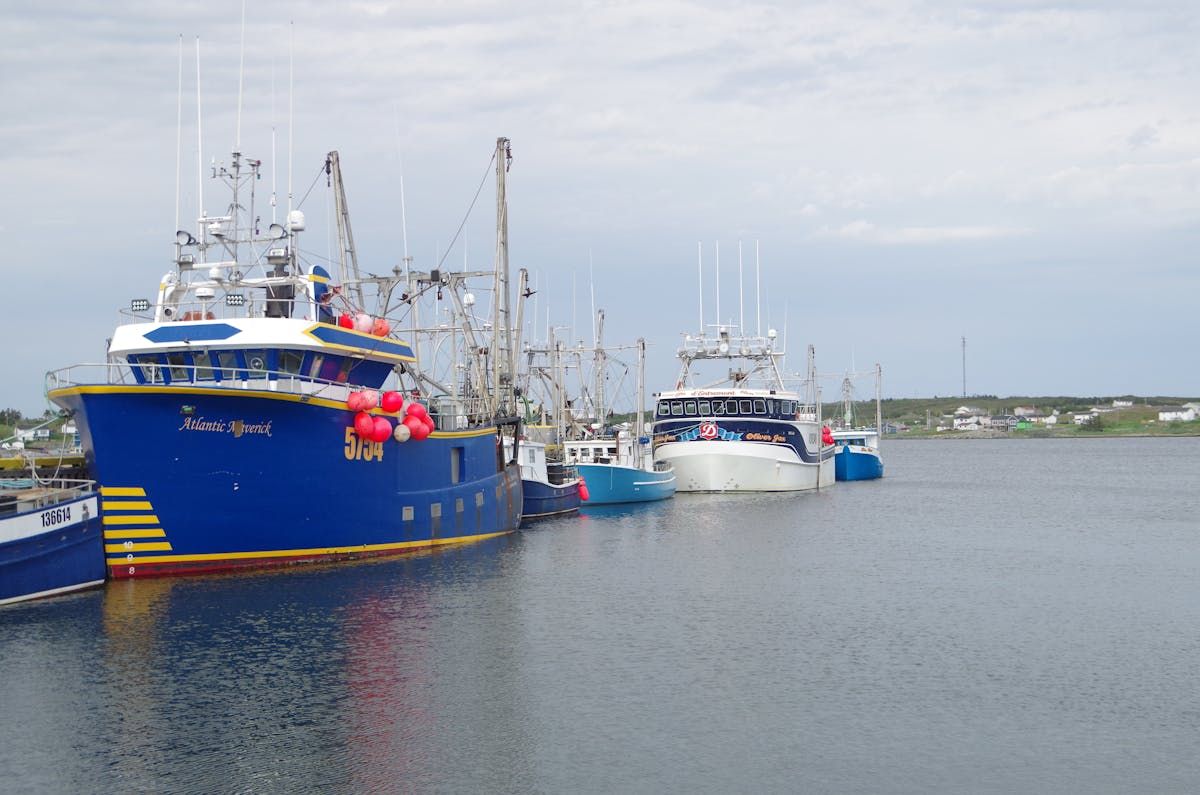 Fishing industry organizations react to Moya Greene report for ...