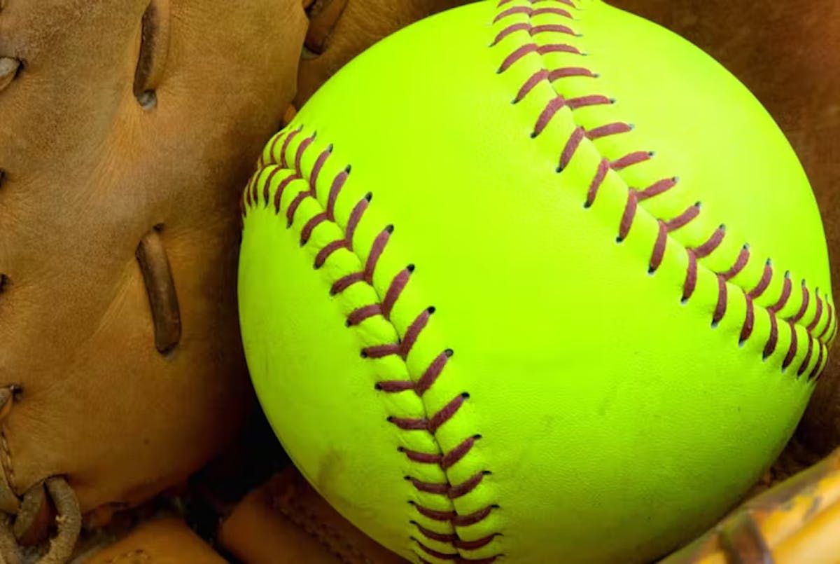 Sydney Venom back-to-back U13 female softball provincial champions ...