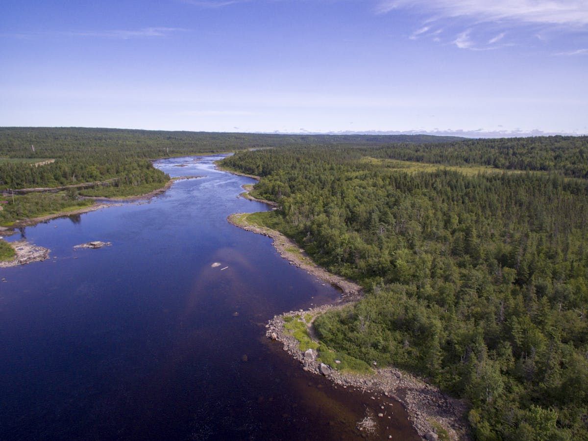 Gander River named top Canadian fishing destination for 2024 | PNI ...